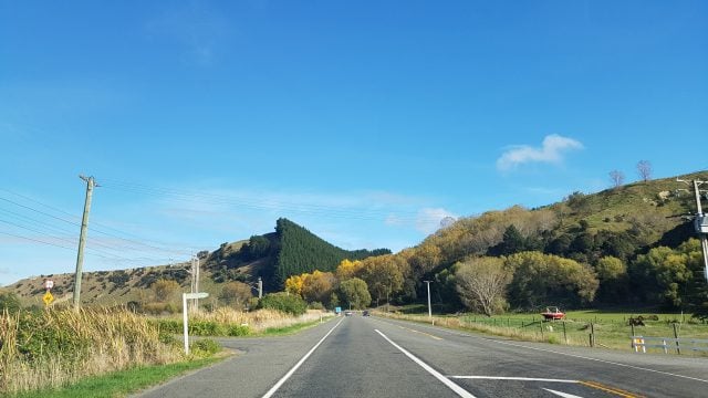 Wellington, más conocida como "Windy Wellington" - YoMeAnimo!